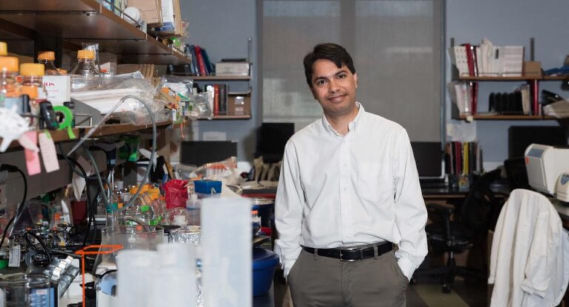 Manganese regulation research named an NIEHS Paper of the Year ...
