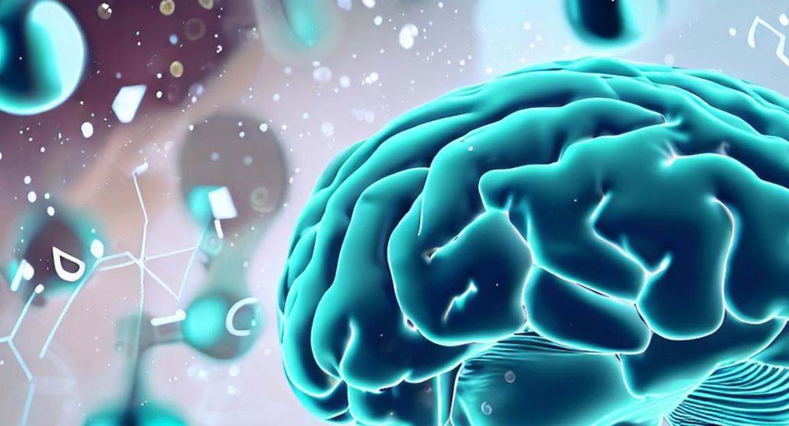 Gore Earns NIH Award for Research on Endocrine-disrupting Chemicals ...